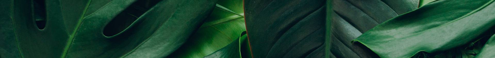 Contact - Côté Nature